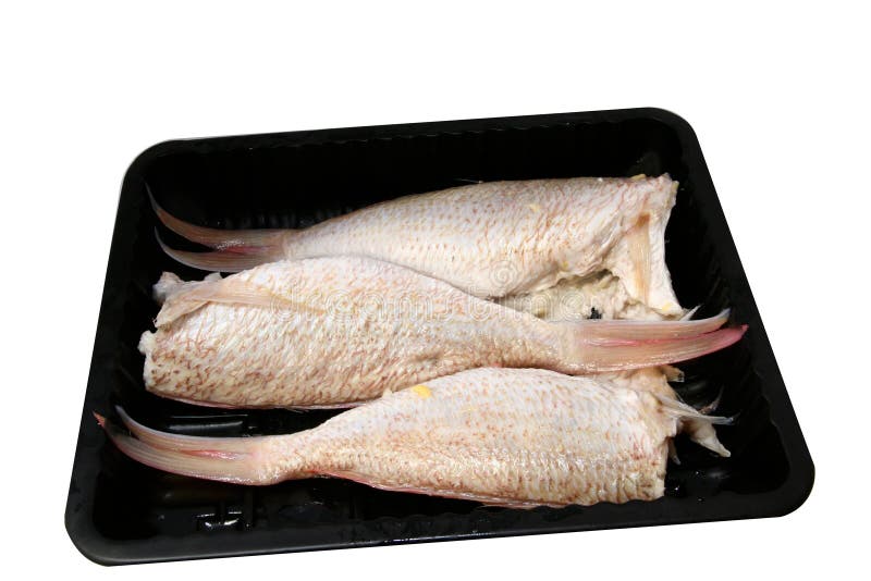 Threadfin bream fish stock image. Image of dish, fishing - 11305487