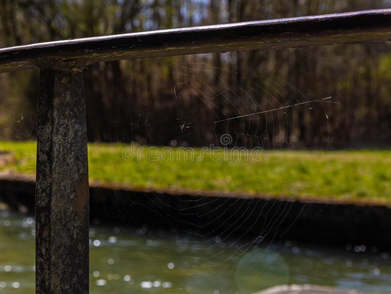 Cobweb between the Beams from the Fence Stock Image - Image of grass ...
