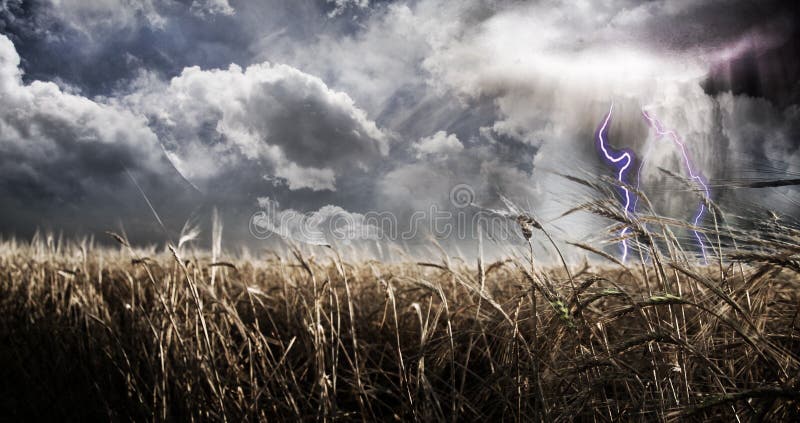 Lightning Over Farm In Field Stock Image - Image of scenery, building ...