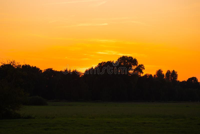 A Threatening Sunset Behind Some Trees at a Field Stock Image - Image ...