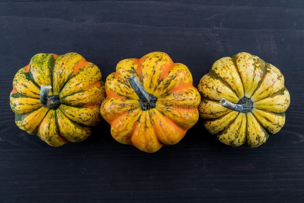 Three Acorn Squash in a Row Stock Photo - Image of little, orange ...