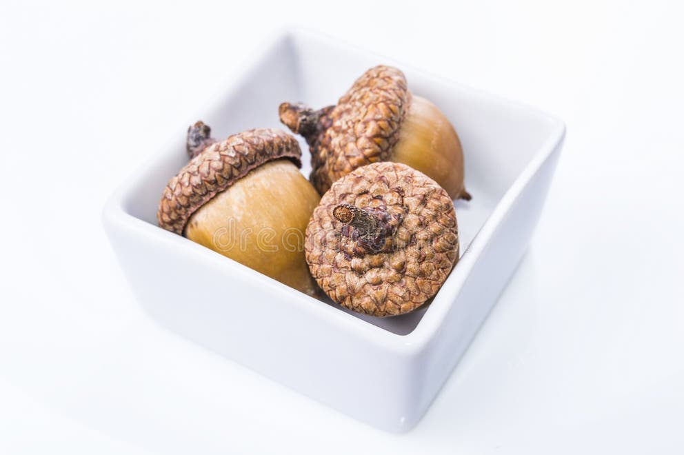 Three acorns stock photo. Image of closeup, seasonal - 29347884