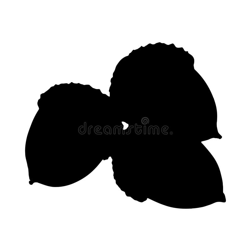 Three Acorns Cluster Silhouette Stock Vector - Illustration of organic ...