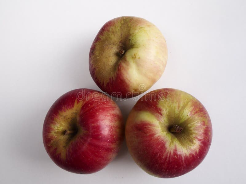 Organic Akane Apples on Wooden Board Background Stock Photo - Image of ...