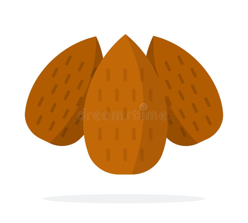 Three Almond Nuts in a Shell Vector Flat Isolated Stock Vector ...