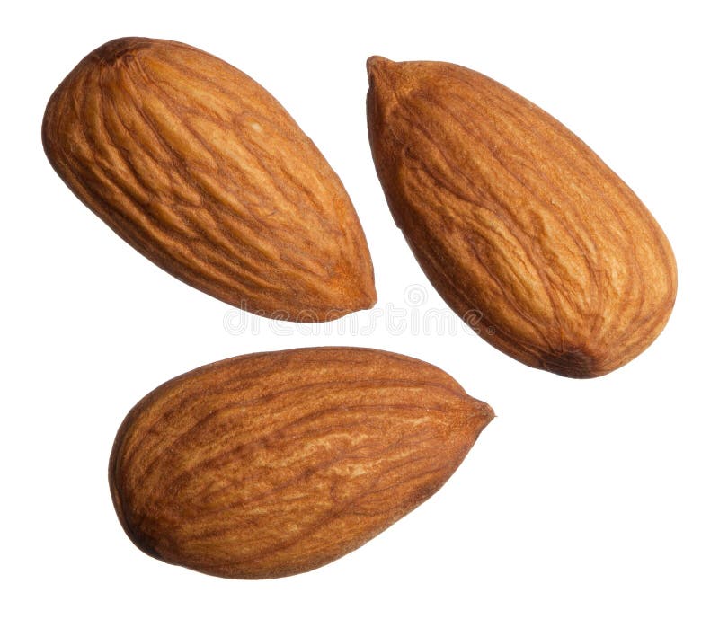 Three Almonds Isolated on White Background Stock Photo - Image of ...