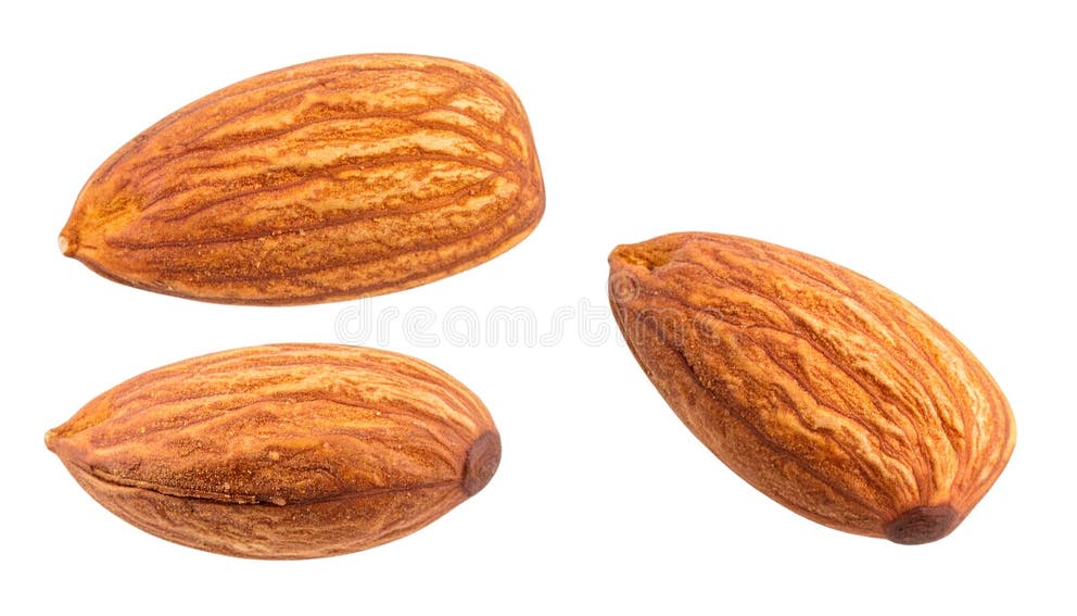 Three Almonds Rotating on Transparent Background Stock Image - Image of ...