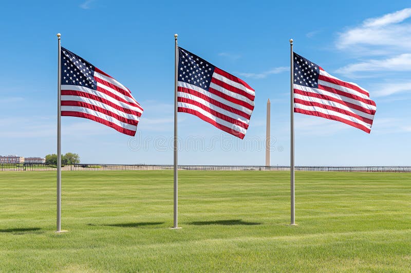Three American Flags Waving in Grassy Field Stock Illustration ...
