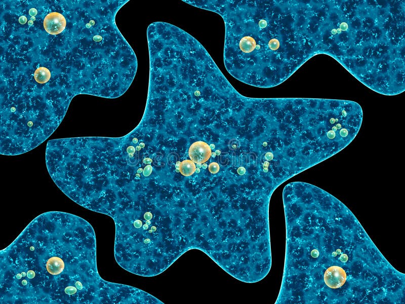 Amoebas on Black Background Stock Illustration - Illustration of ...