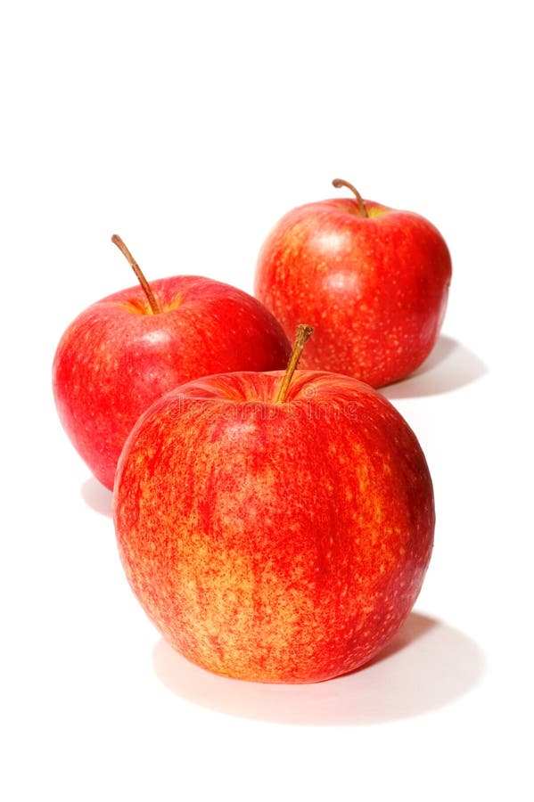 Pair Gala Apples stock image. Image of oval, apples, mottled - 14675325