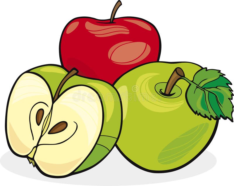Three apples stock vector. Illustration of food, fruit - 12777184