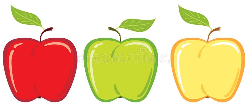 Three apples stock vector. Illustration of food, yellow - 13220099