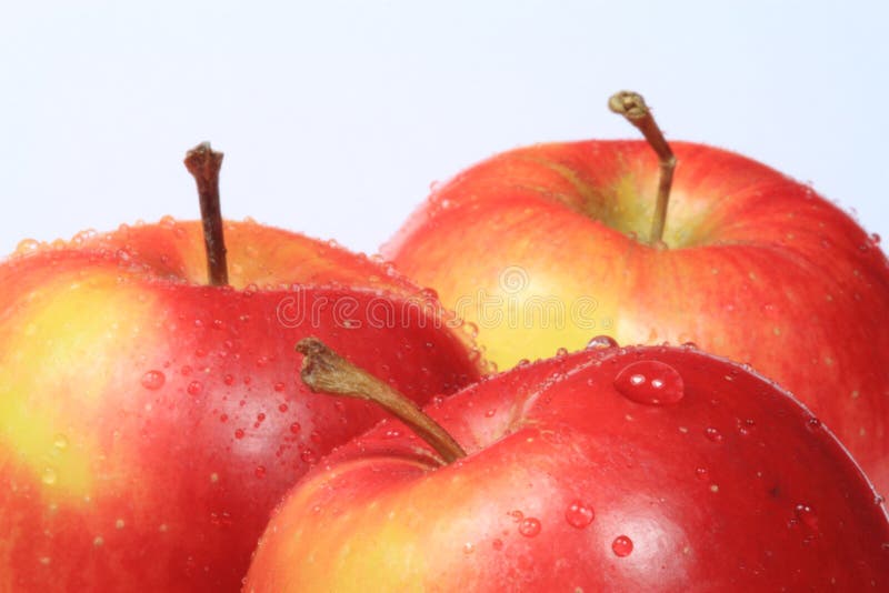 Three apples stock image. Image of water, juicy, healthy - 13461189