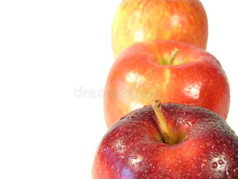Three apples stock photo. Image of apples, growth, natural - 144494