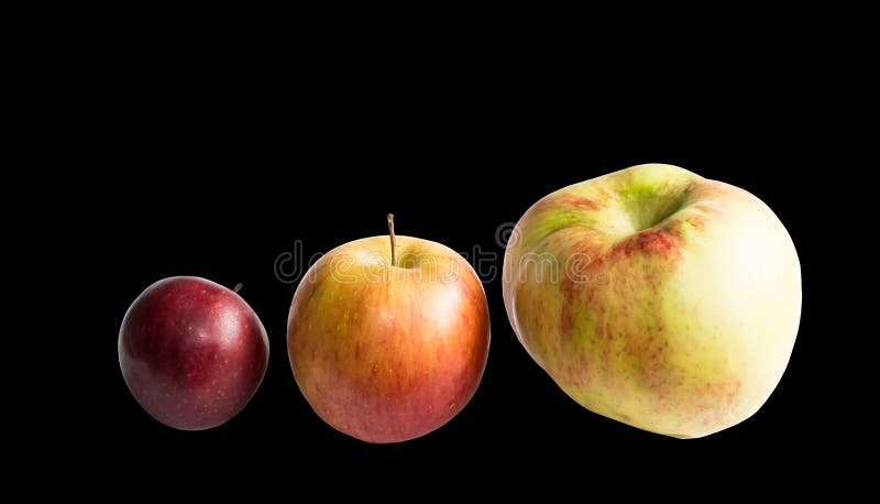 Three sizes of apples stock image. Image of three, apples - 11386881