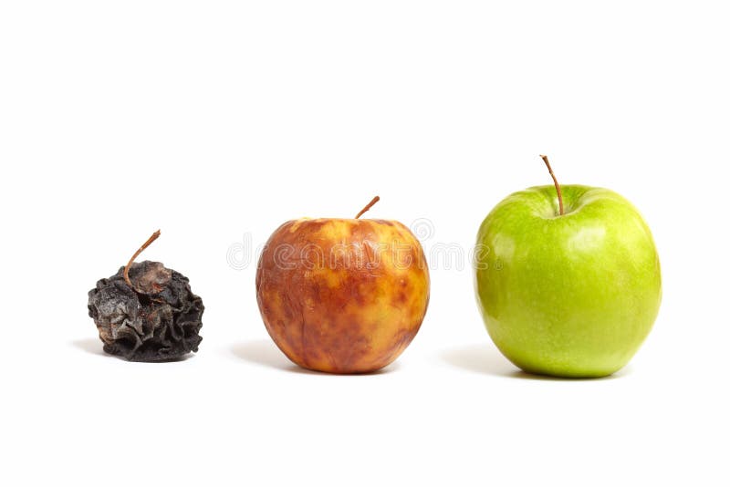 Three Apples: Fresh, Rotting and Dead Stock Image - Image of delicious ...