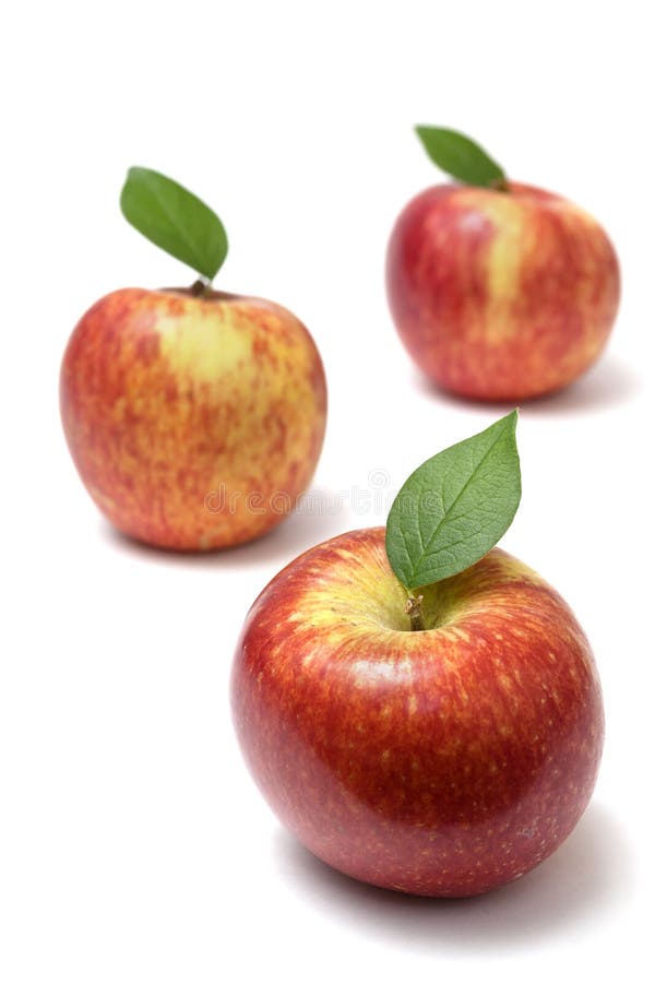 Three Apples Isolated on White Stock Image - Image of vertical ...