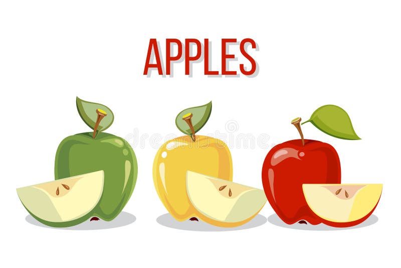 Three Apples with Slices Over White Stock Vector - Illustration of ...