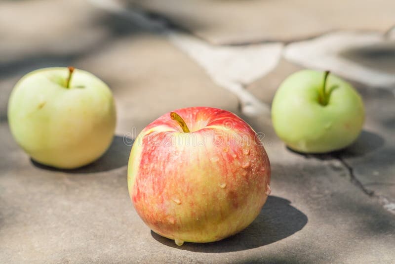 Apples Track Gray Stone Stock Photos - Free & Royalty-Free Stock Photos ...