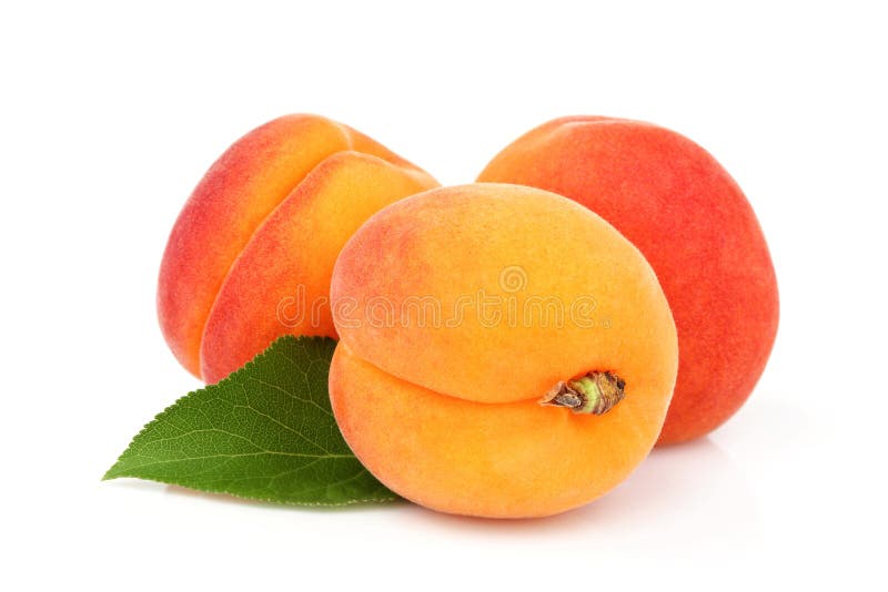 Three Apricots Fruits with Apricots Leaf Isolated Stock Photo - Image ...