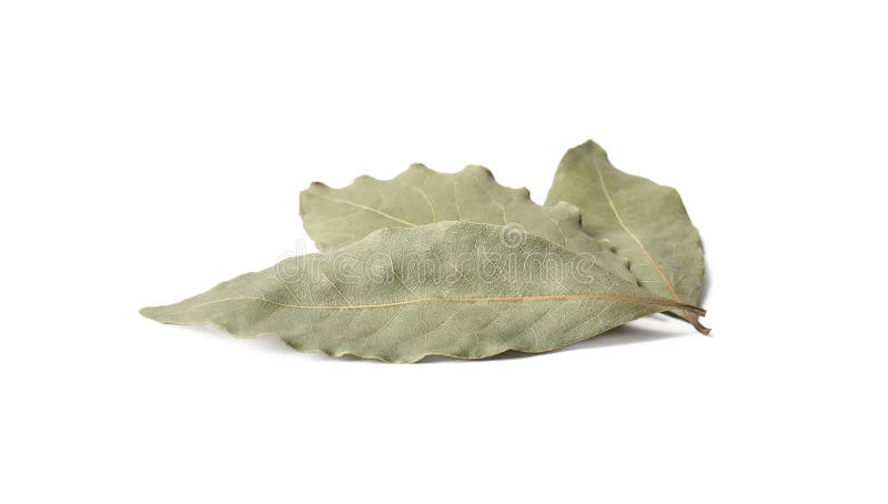 Three Aromatic Bay Leaves on White Background Stock Photo - Image of ...