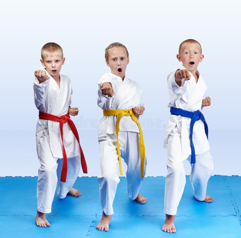 In Karategi Three Athletes are Hitting Karate Kick Arm Stock Image ...