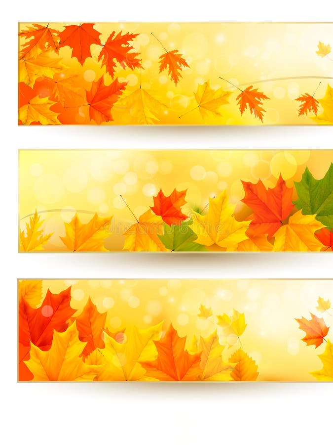 Autumn Fall Banner stock vector. Illustration of orange - 27646480