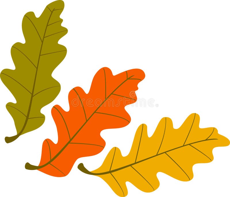 Three autumn leaves stock vector. Illustration of background - 5305127