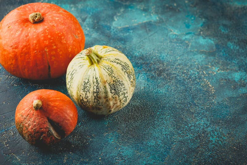Three Autumn Pumpkins stock image. Image of natural - 179885171