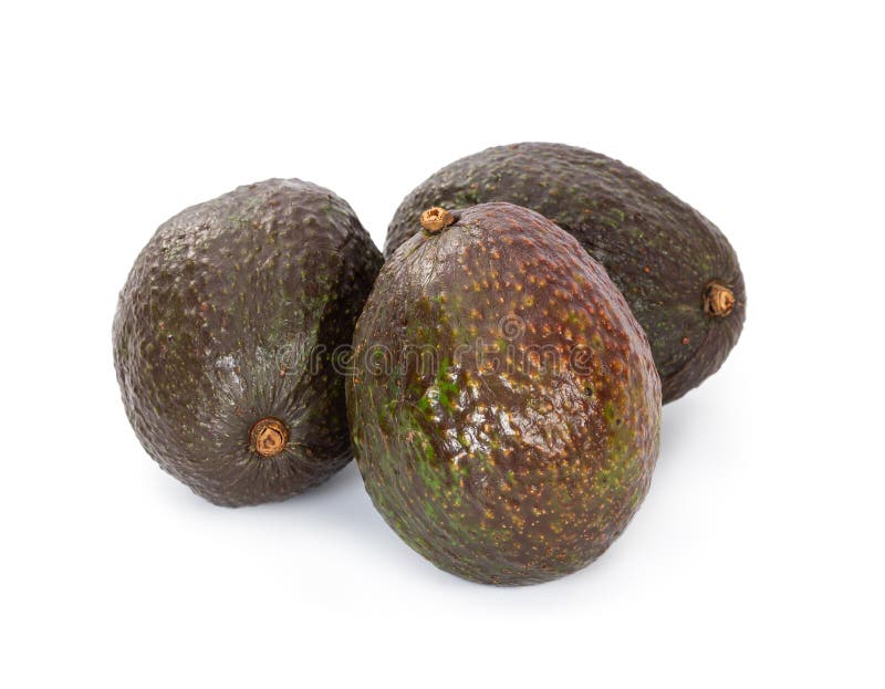 Three Avocado Hass Isolated on White Stock Image - Image of healthy ...