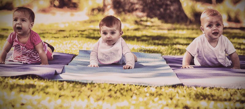 Three Babies Crawling on Exercise-mat Stock Photo - Image of babyhood ...