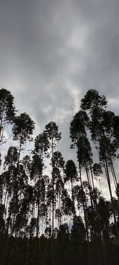 Three Background Wallpaper Dark Three Potrait Sky Shape Random Picture ...