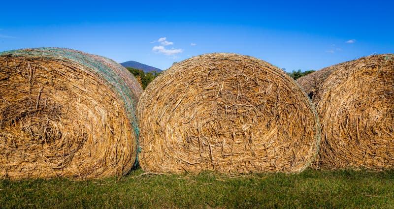 Three Bails of hay stock image. Image of land, summer - 57546919