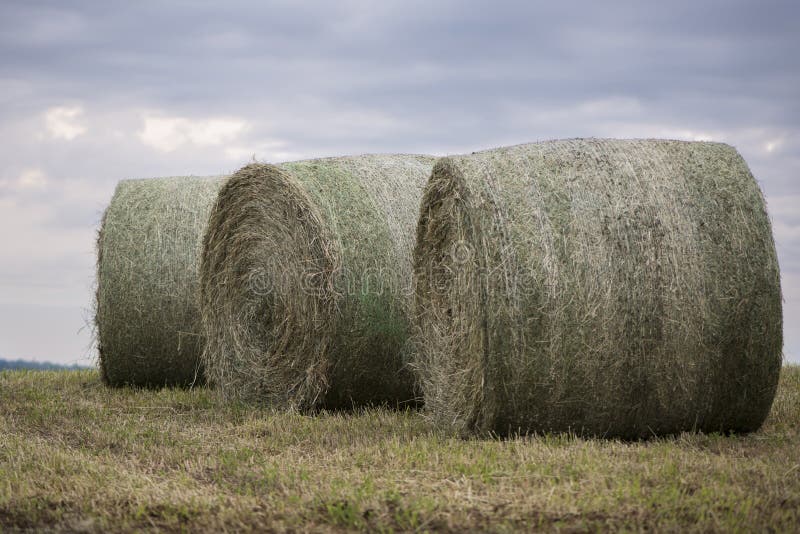 Three Bails of hay stock photo. Image of yellow, black - 57546940