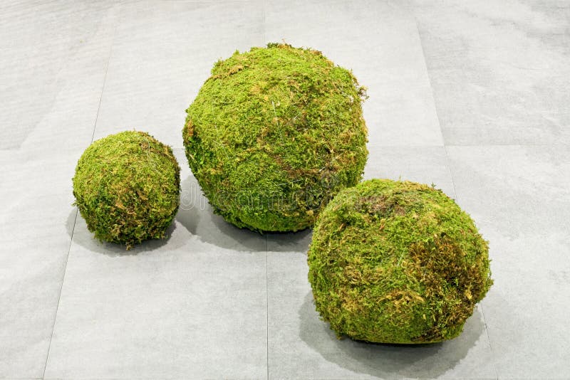 Grass balls stock photo. Image of nature, sphere, grass - 169616412