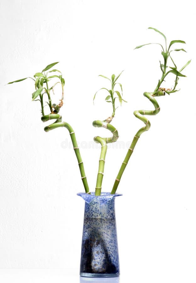 Three Bamboo Picture. Image: 702010