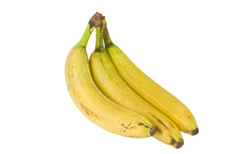 Three Bananas Picture. Image: 1584079
