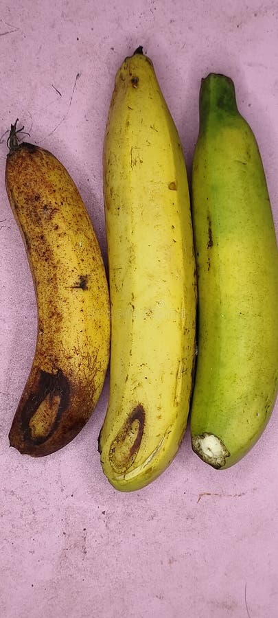 Three Bananas of Different Colors and Sizes Stock Photo - Image of ...
