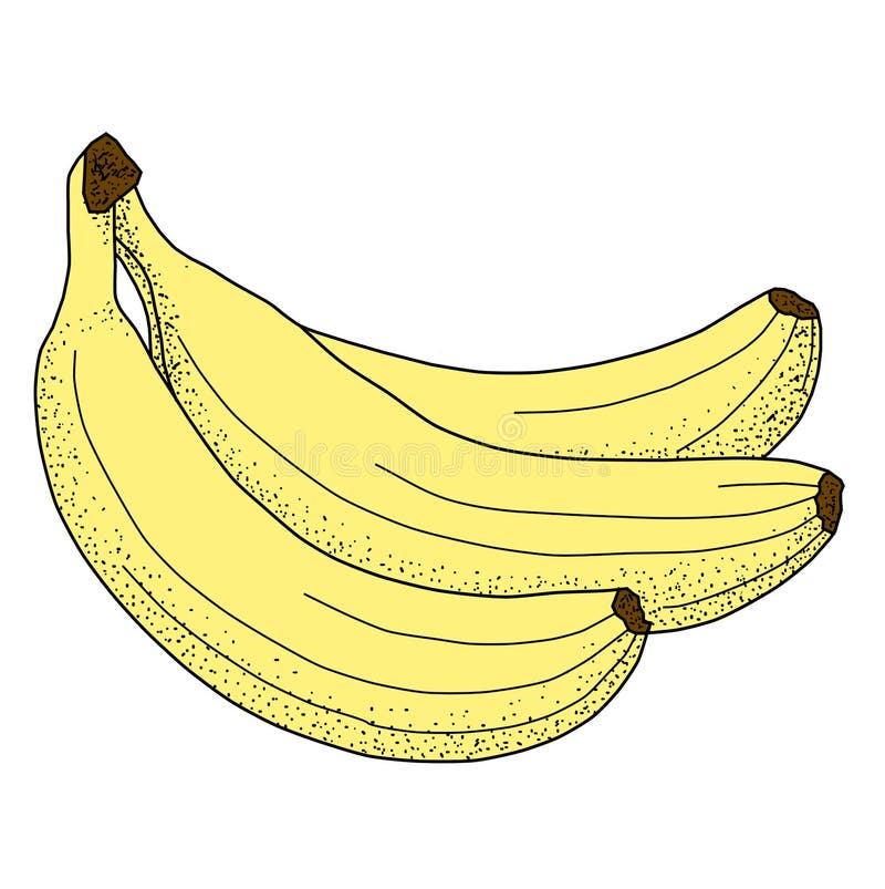 Three Bananas Vector Illustration for Design and Decor Stock Vector ...