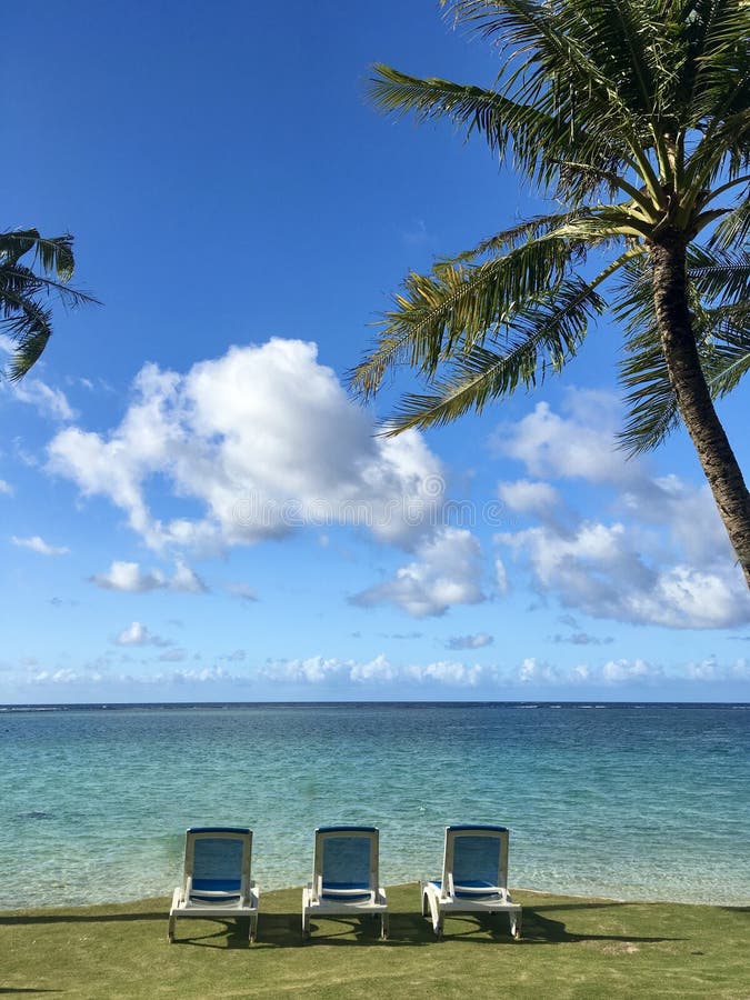 Three Beach Recliner Chairs Under Palm Tree on the Beach Stock Image ...