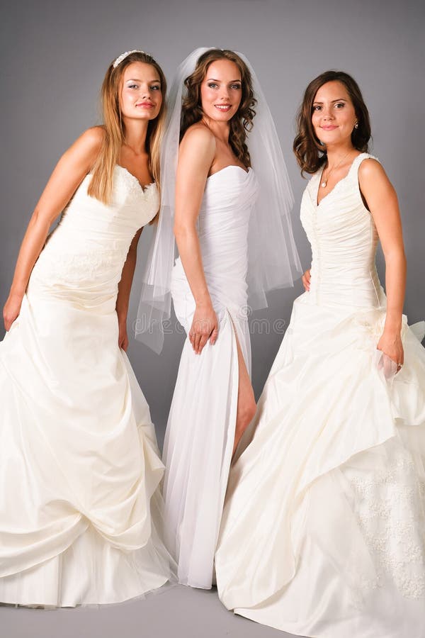 Bride stock photo. Image of clothing, formal, beautiful - 2407884