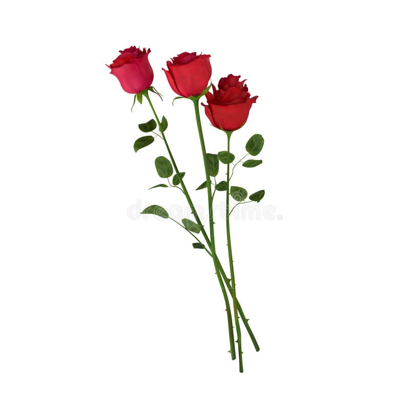 Three Beautiful Pink Roses with Leaves. 3d Vector Illustration Stock ...