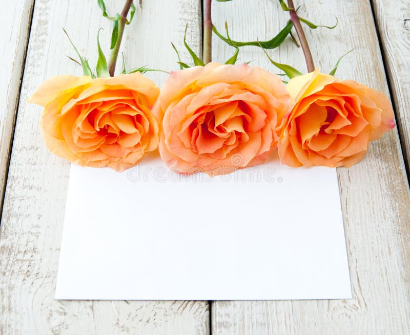 Three Beautiful Roses with Card for Your Text. Stock Photo - Image of ...
