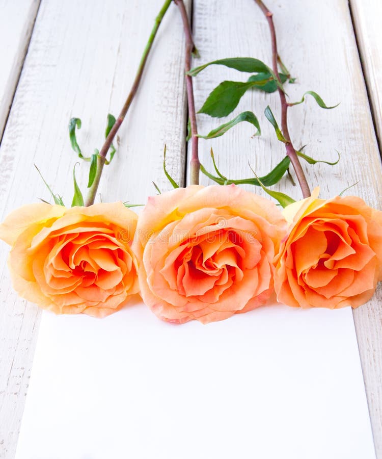 Three Beautiful Roses with Card for Your Text. Stock Image - Image of ...