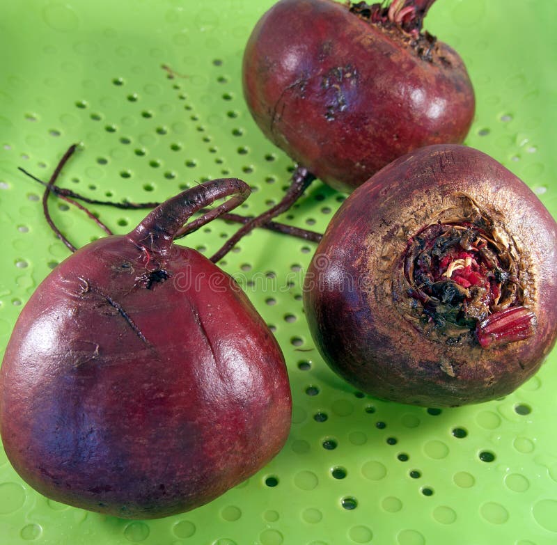 Three beets stock image. Image of ingredient, view, people - 97367779