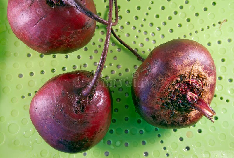 Three beets stock image. Image of macro, beets, harvest - 97367897
