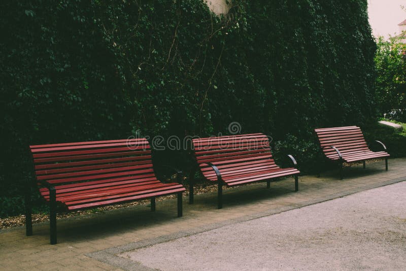 Three Benches and Hedge, City Landscape Stock Image - Image of wall ...