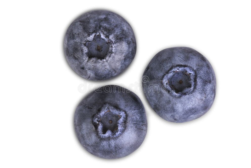 Three berries stock image. Image of closeup, ripe, berry - 123016157