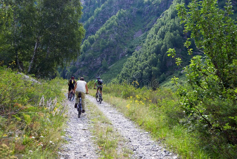 Three Bickers on Mountain Road Stock Image - Image of competitor ...
