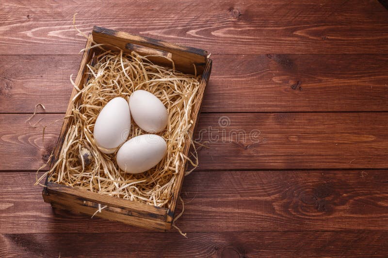 Three Big Fresh Goose Eggs in a Nest of Hay in a Box, Copyspace Stock ...